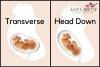 Week 27 Pregnancy: Baby Position & Symptoms • Kopa Birth®